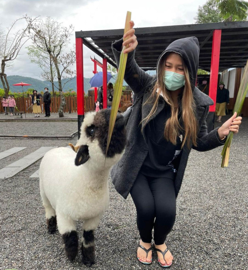 Zhangmeiama‘s Farm - LOHERB