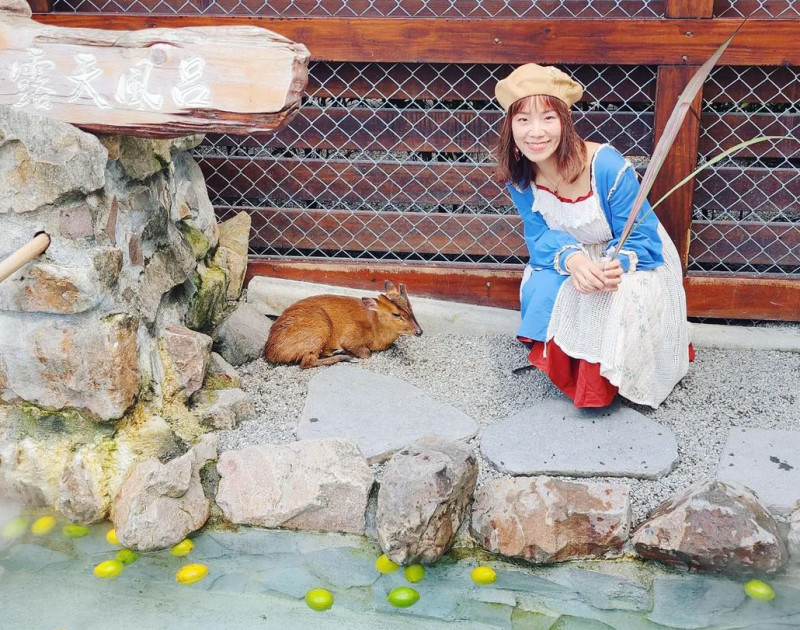 Top 8 Popular Cute Animal Farms in Yilan - LOHERB