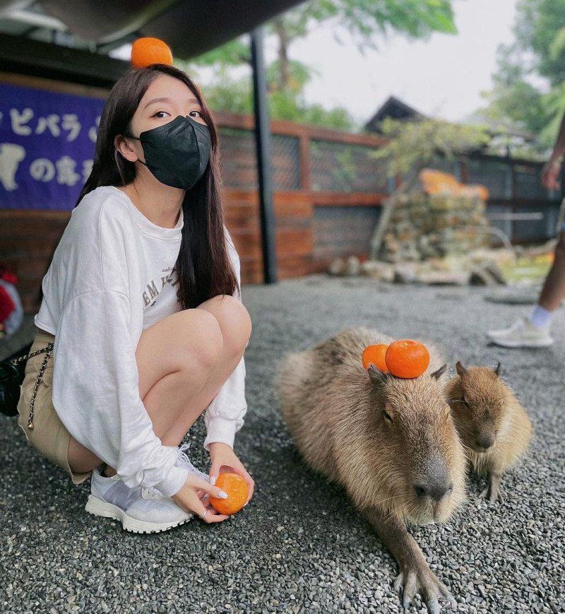 Top 8 Popular Cute Animal Farms in Yilan - LOHERB