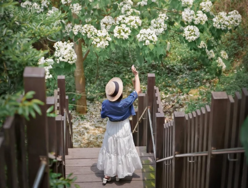 Spring Exclusive! Top 10 Hidden Flower Viewing Spots in Taiwan - LOHERB
