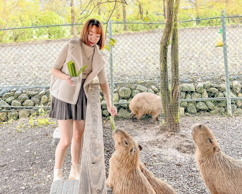 宜蘭8大熱門可愛小動物農場景點 - LOHERB