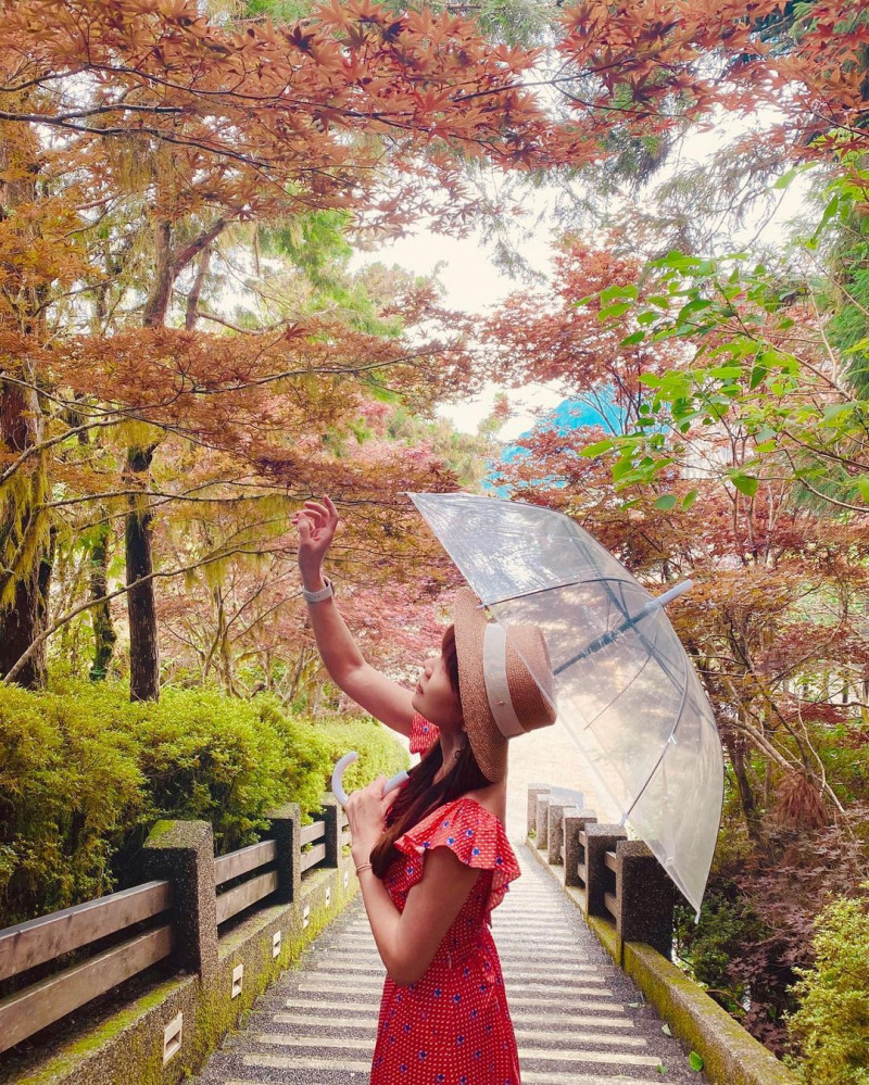 Autumn Exclusive! Top Maple Leaf Viewing Spots in Taiwan — 日光綠築 LOHERB ...