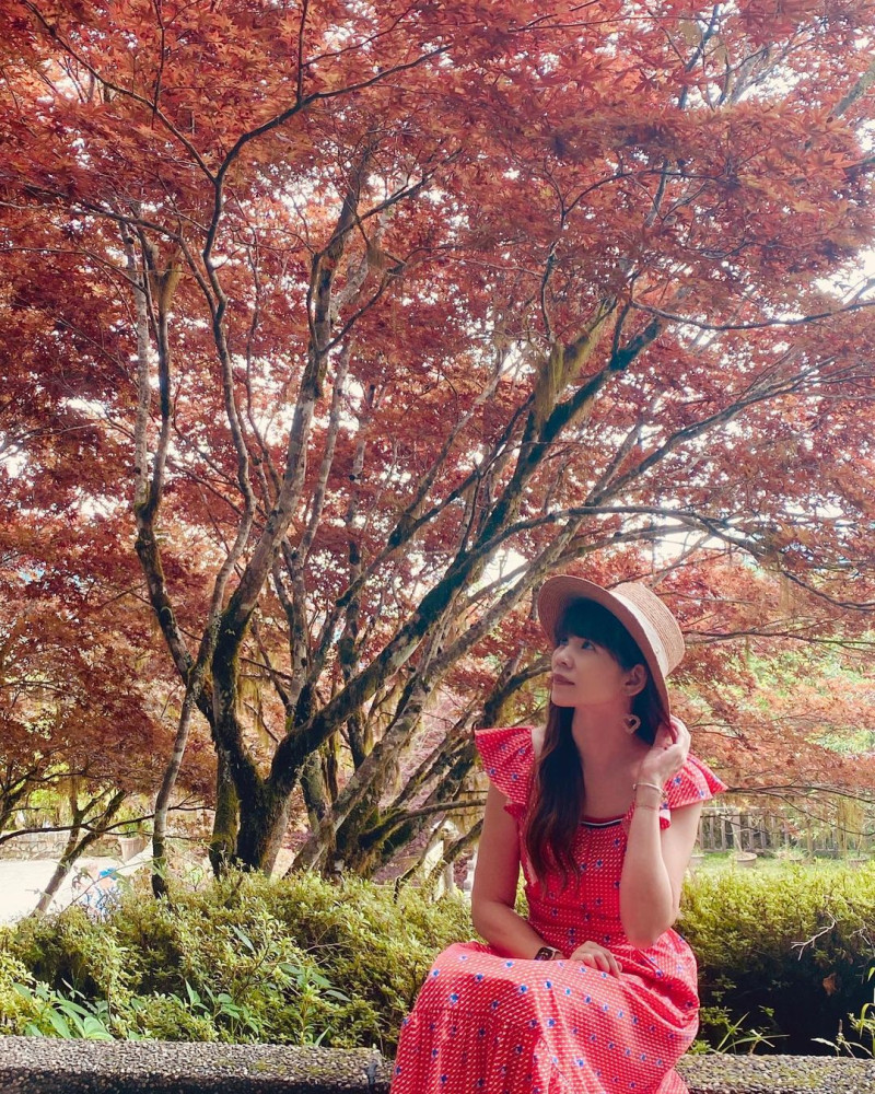 Autumn Exclusive! Top Maple Leaf Viewing Spots in Taiwan — 日光綠築 LOHERB ...